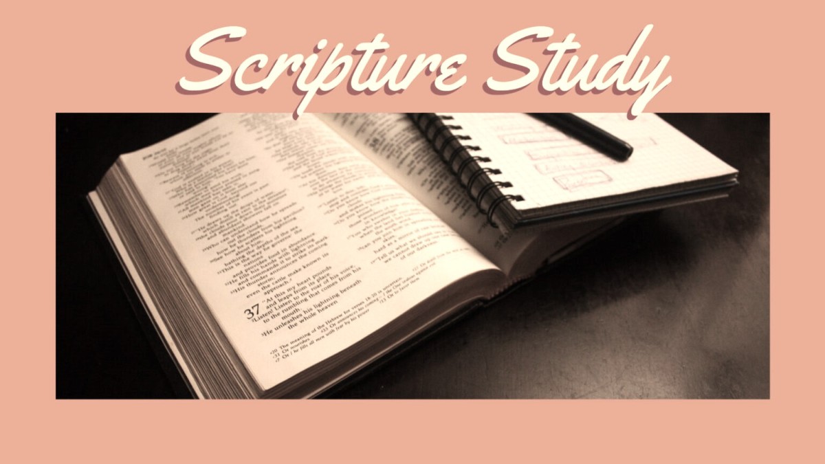 Scripture Study (Tree of Unity Faith Sharing Group)